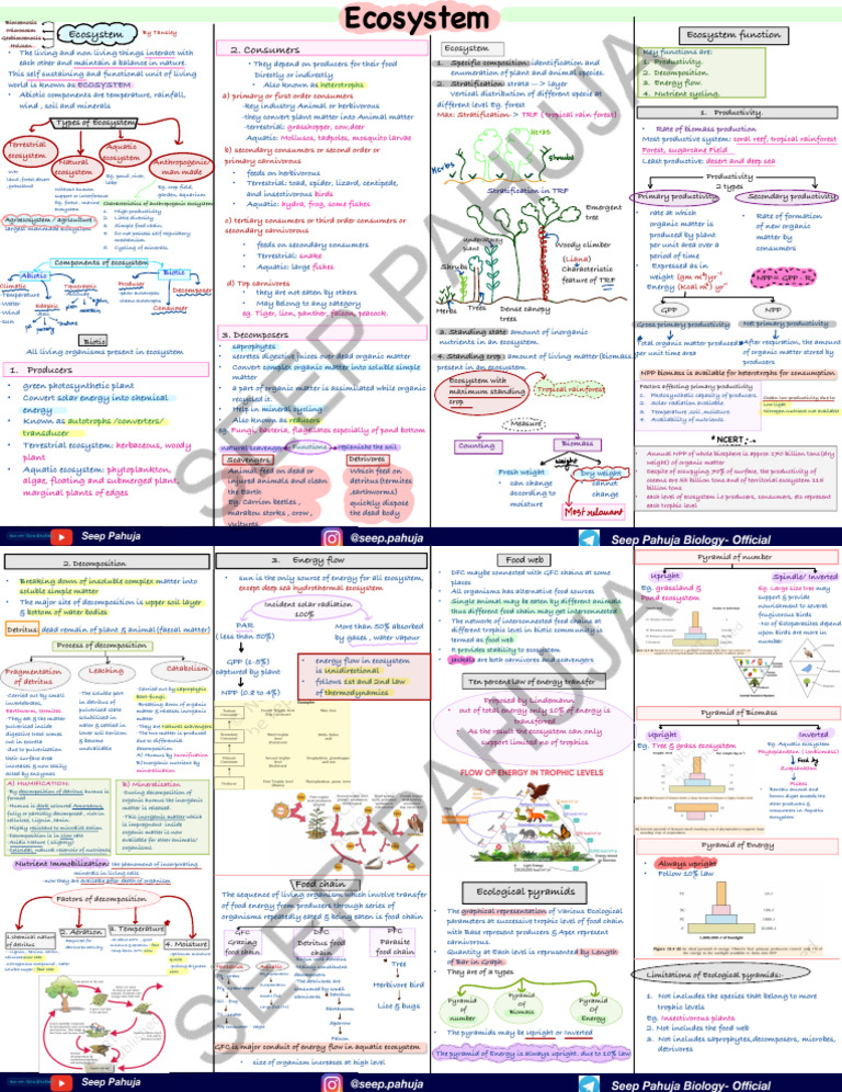 Ecosystem Mind Maps - Watermark | PDF | Ecosystem | Food Web