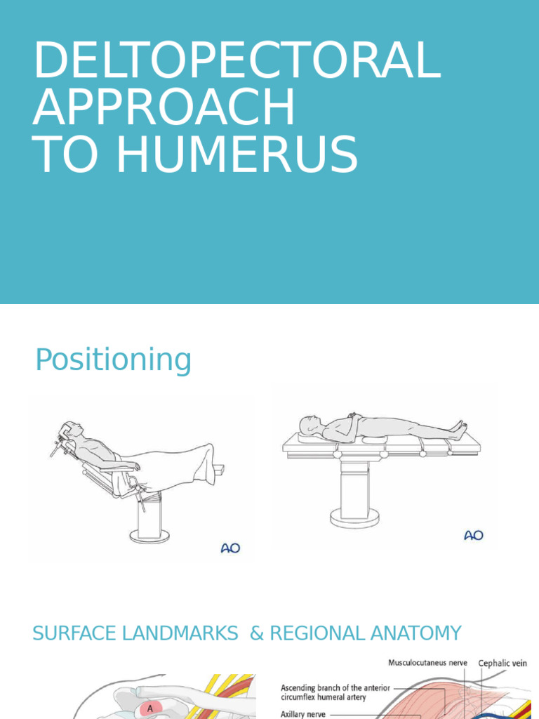 Deltopectoral Approach To Shoulder | PDF