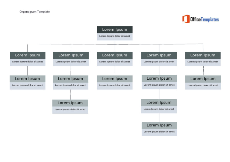 Organogram Template 31 | PDF