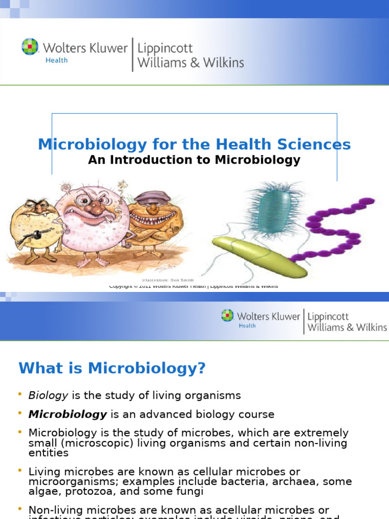 Chapter 1 Intro To Microbiology | PDF | Microbiology | Microorganism