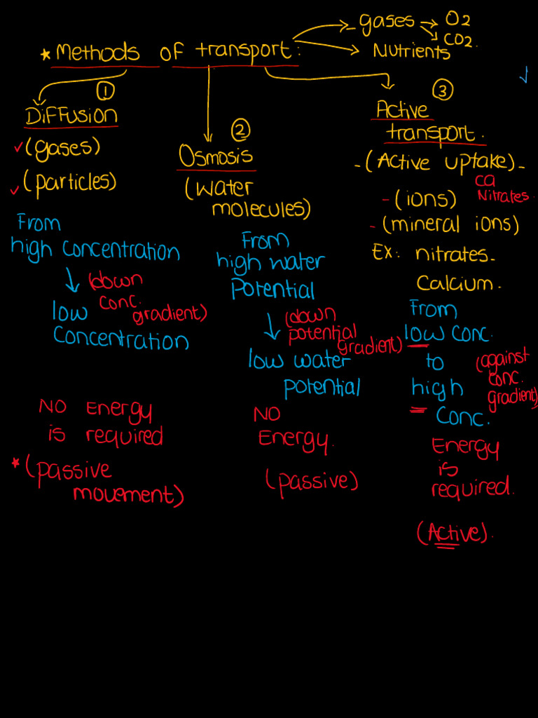 Methods of Transport - Board 2 | PDF