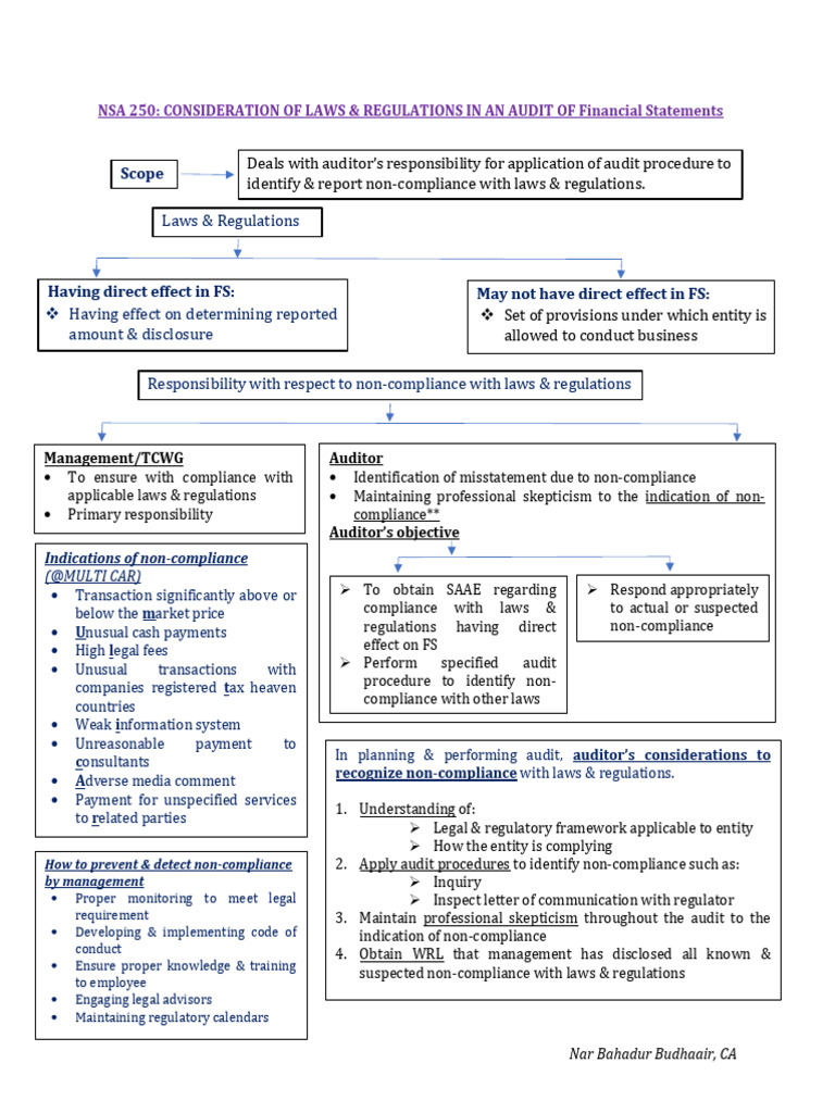 NSA 250: Audit Compliance Essentials | PDF | Internal Control | Audit