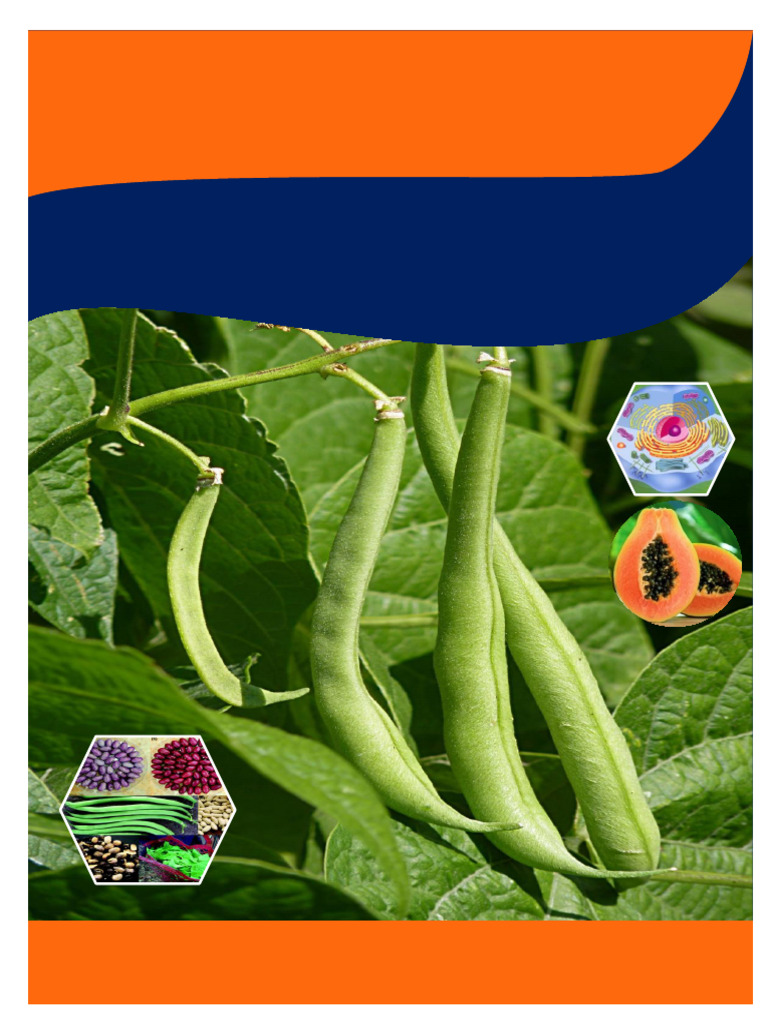 Biology Practical Guide for NECTA 2025 | PDF | Urine | Kidney