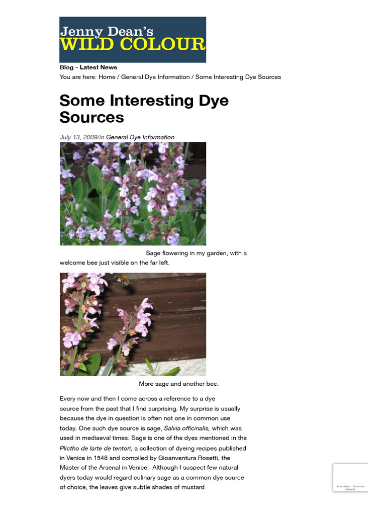 Some Interesting Dye Sources - Jenny Dean's Wild Colour | PDF | Http ...