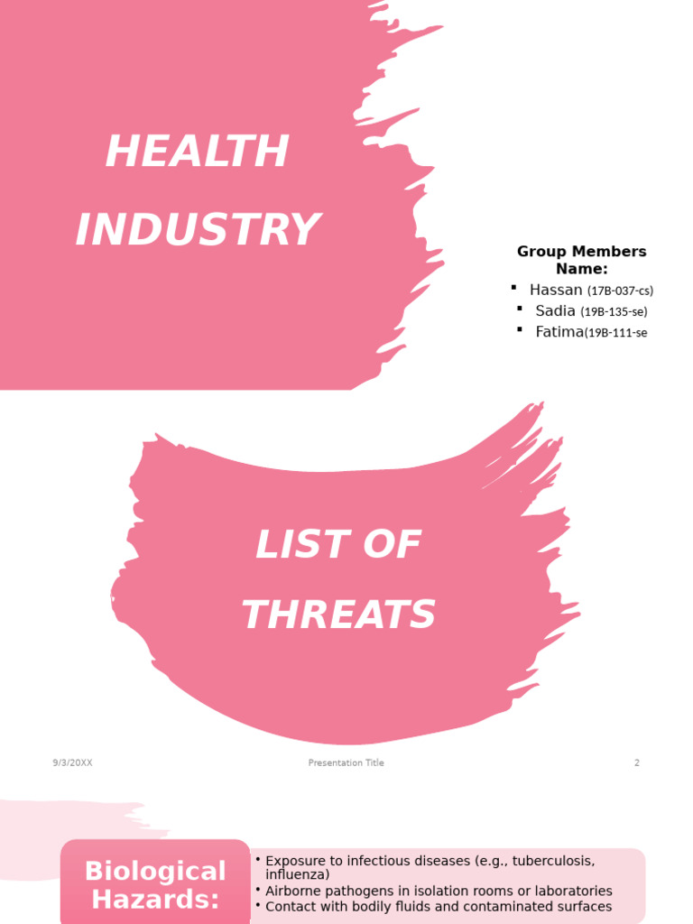 Health Industry (Is Audit Assigment 01) | PDF