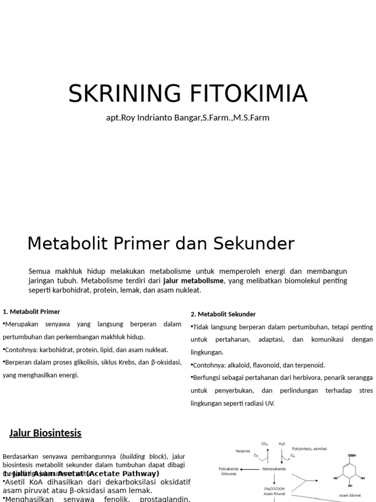 Skrining Fitokimia | PDF