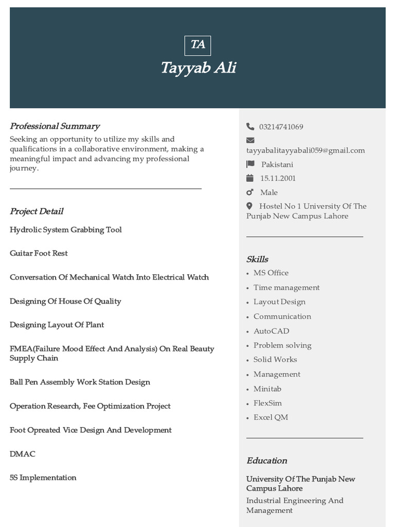 Tayyab - Resume - 290-1 | PDF
