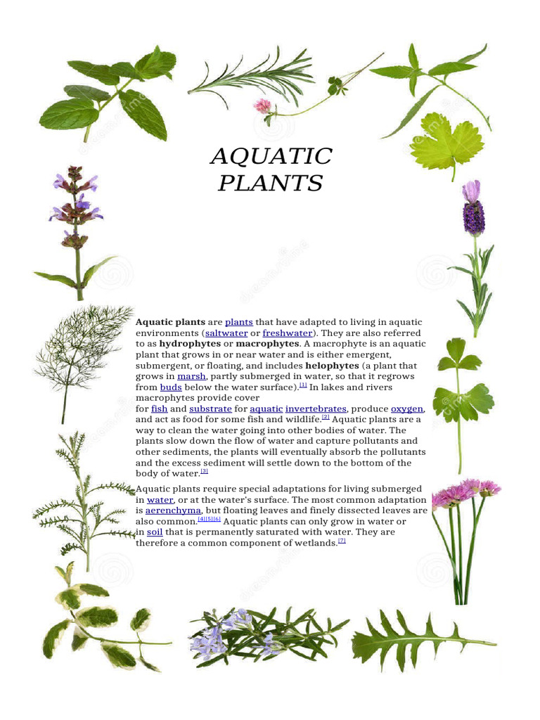 Understanding Aquatic Plants | PDF