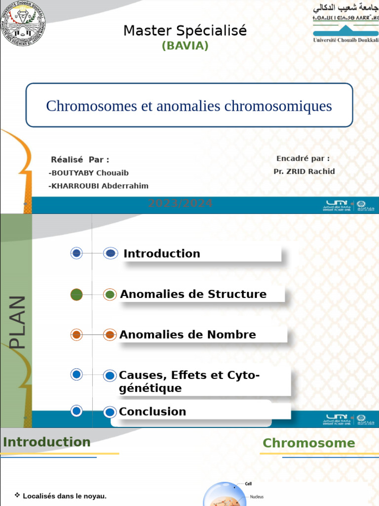 Chromosomes Et Anomalie Chromosomiques | PDF | Chromosome | Cytogénétique
