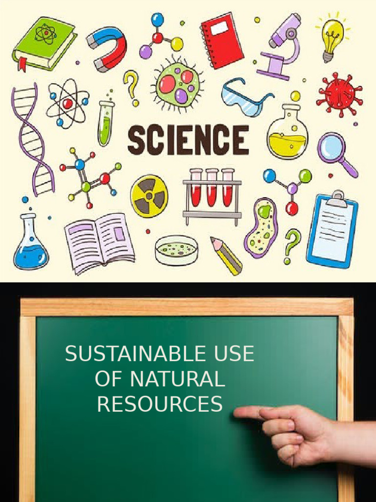 Demo Teaching For Ranking | PDF | Recycling | Waste