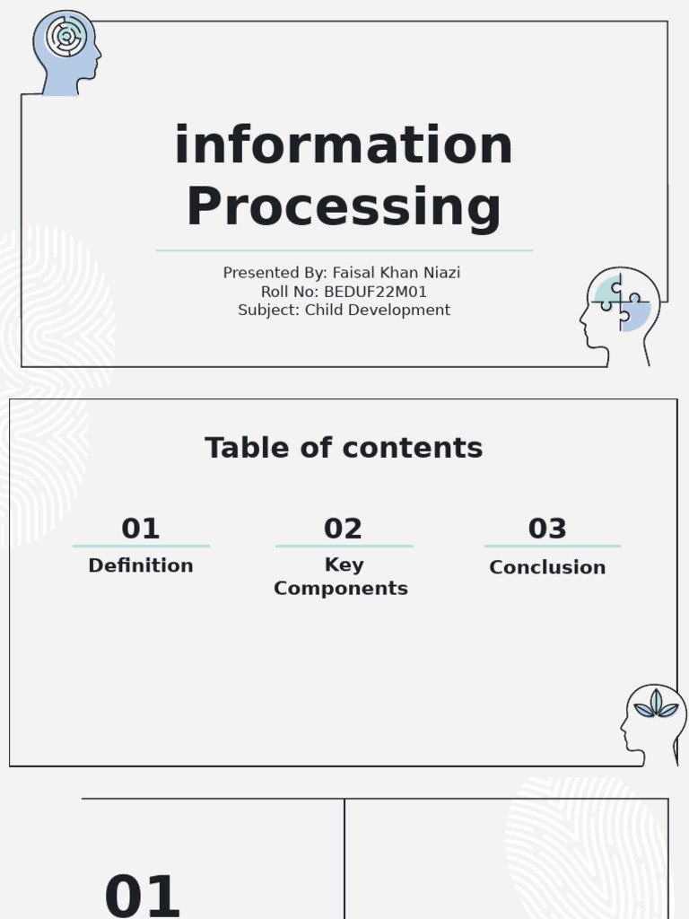 Information Processing | PDF | Recall (Memory) | Information