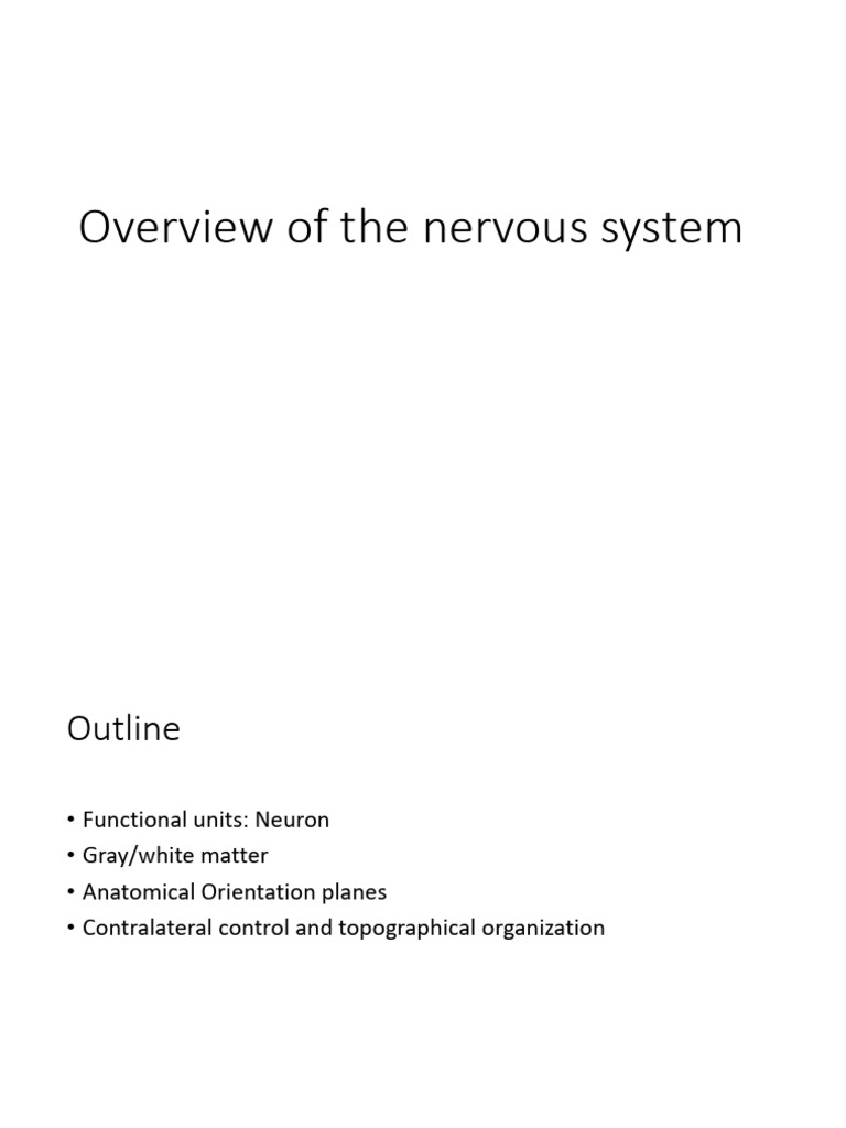 Chap 1 Overview of The CNS - Note | PDF | Axon | Neuron