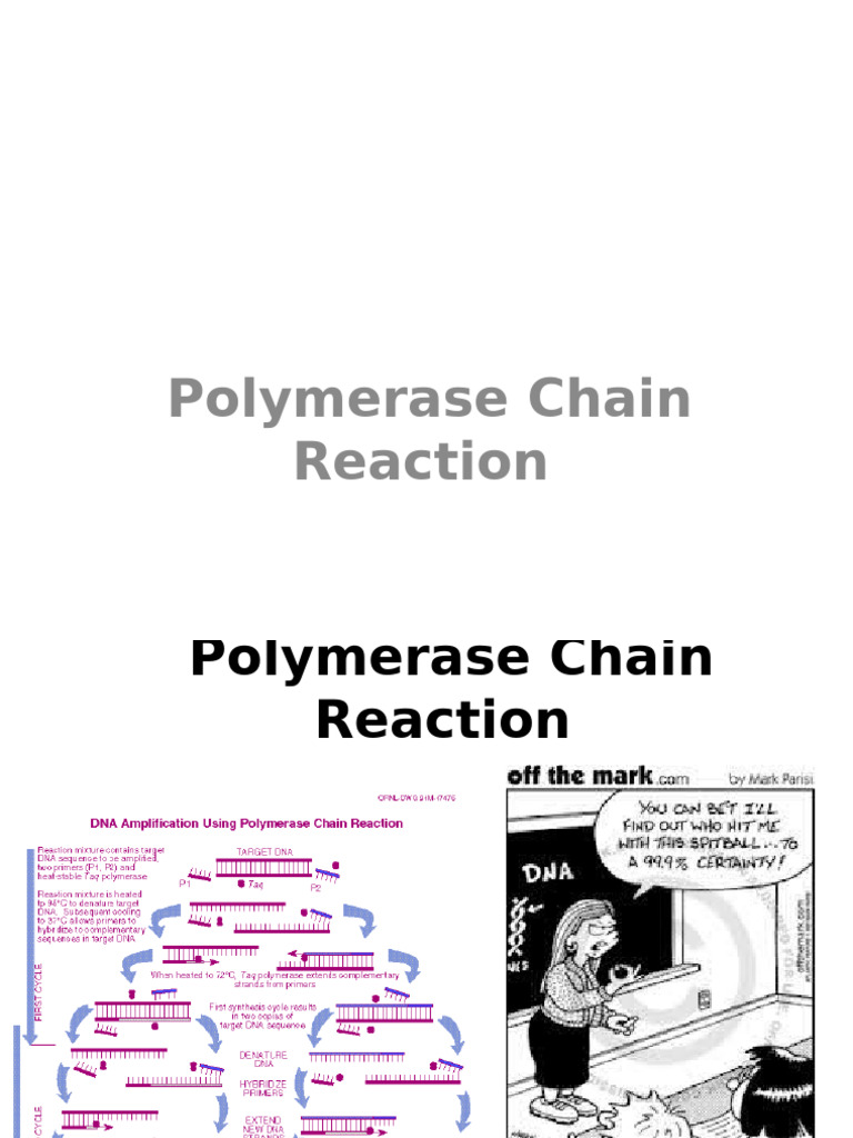 Polymerase Chain Reaction | PDF | Polymerase Chain Reaction | Primer (Molecular Biology)