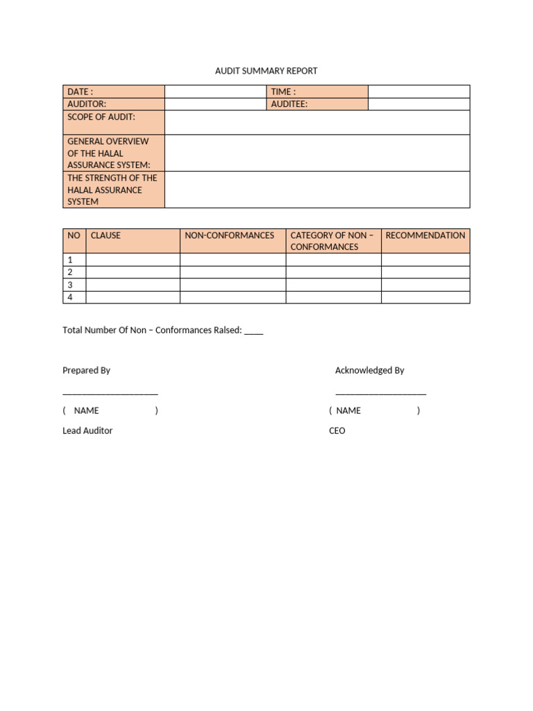 Rangka Audit Summary Report | PDF