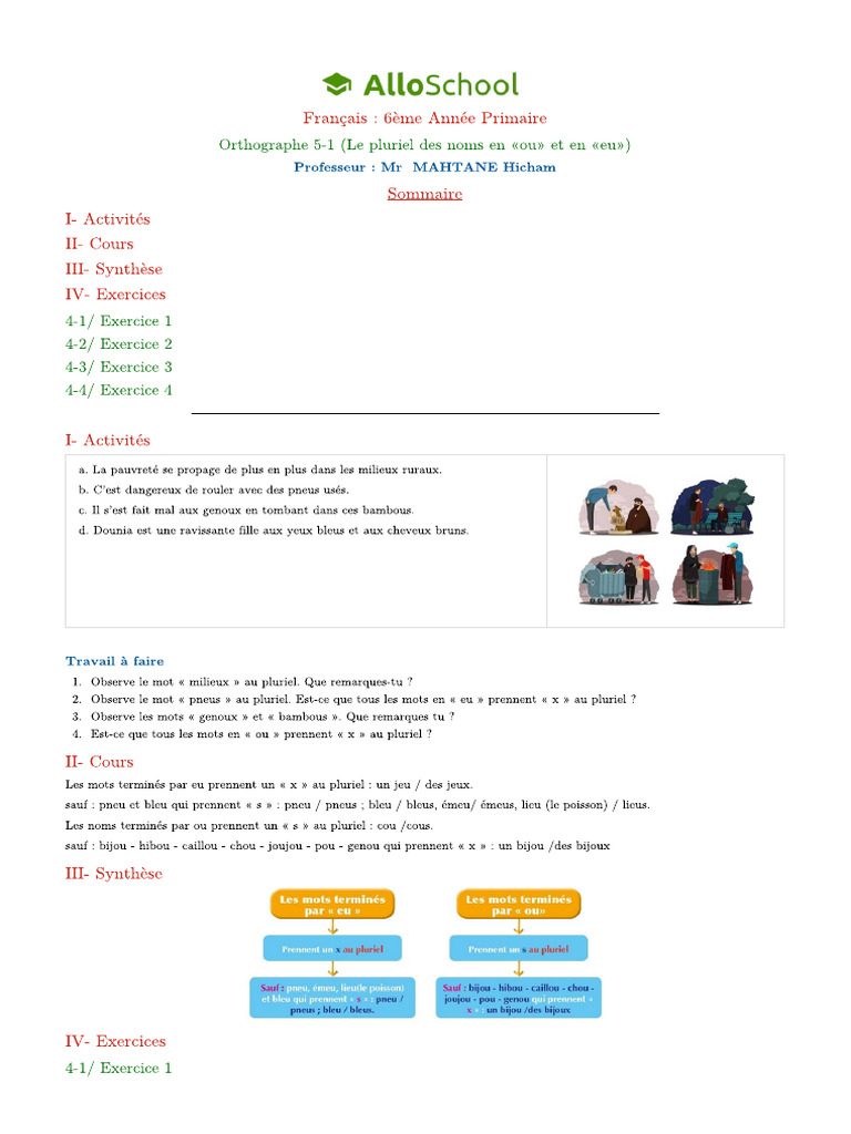 Orthographe 5 1 Le Pluriel Des Noms en Ou Et en Eu 1 | PDF