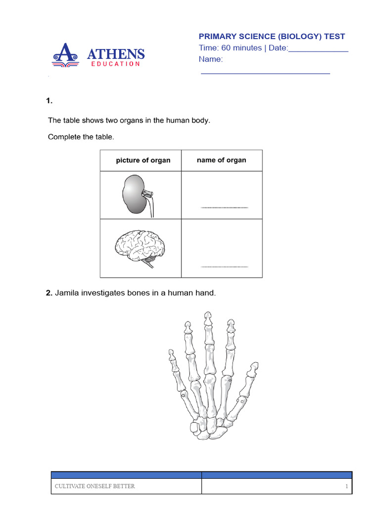 Primary Science Biology Test Template | PDF