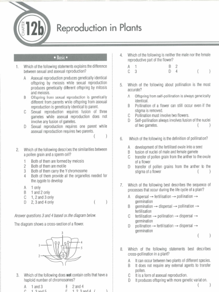 Reproduction in Plants QP | PDF
