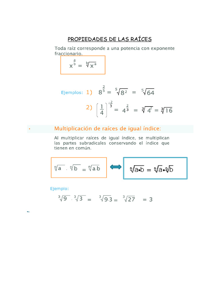 Propiedades de Las Raíces | PDF