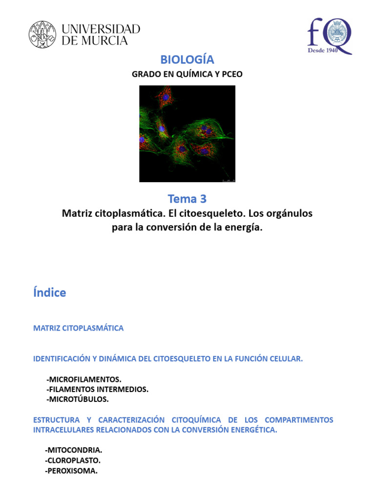 Tema 3-2 | PDF | Microtúbulos | Mitocondria