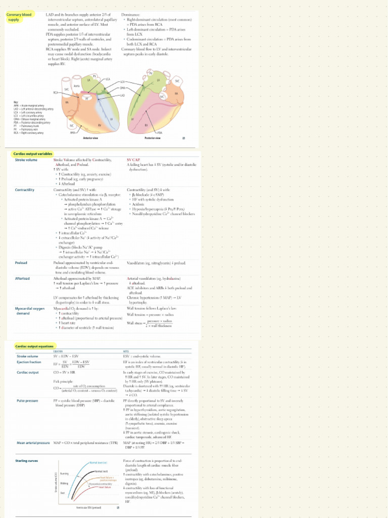 Cvs Basics | PDF