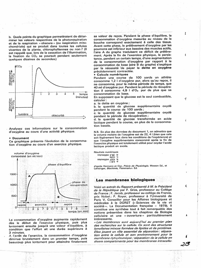 Muscle Suite Resume | PDF