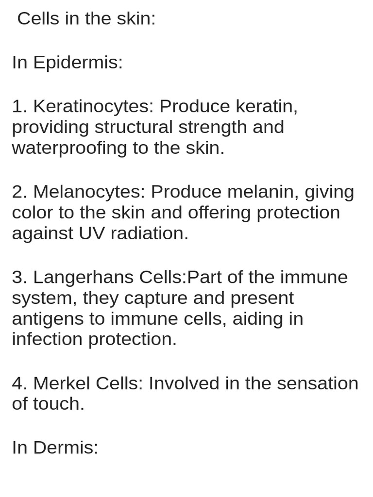 Cells and Glands of Skin. | PDF | Skin | Epithelium
