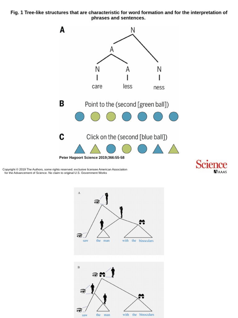 Compositionality. Hierarchy vs. Sequence | PDF