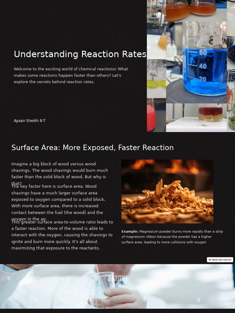 Understanding Reaction Rates1 | PDF
