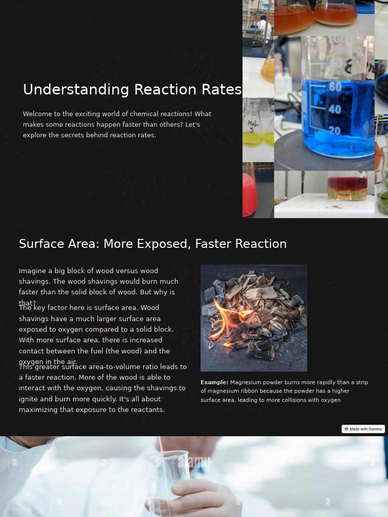 Understanding Reaction Rates | PDF