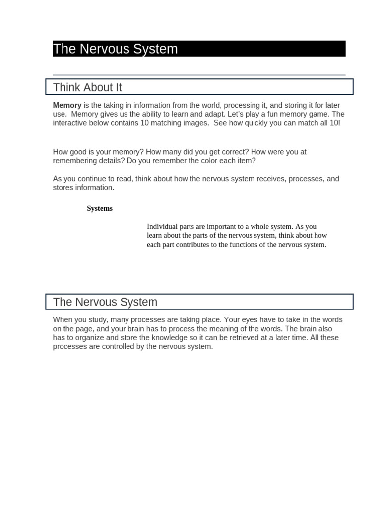 Lesson 5 - The Nervous System | PDF | Nervous System | Central Nervous ...