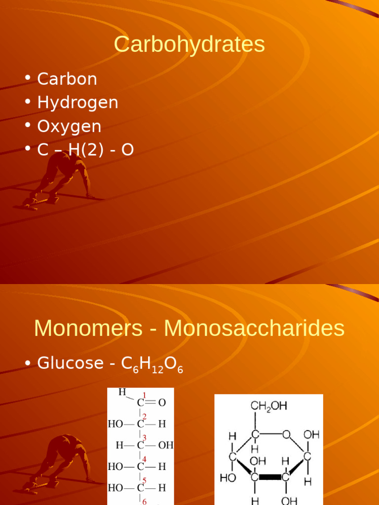 Understanding Carbohydrates and Metabolism | PDF