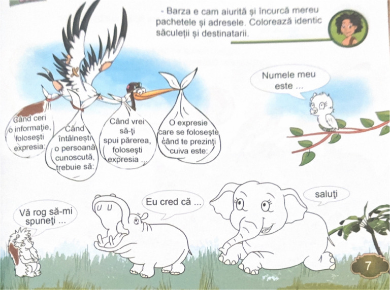 Forme Salut | PDF