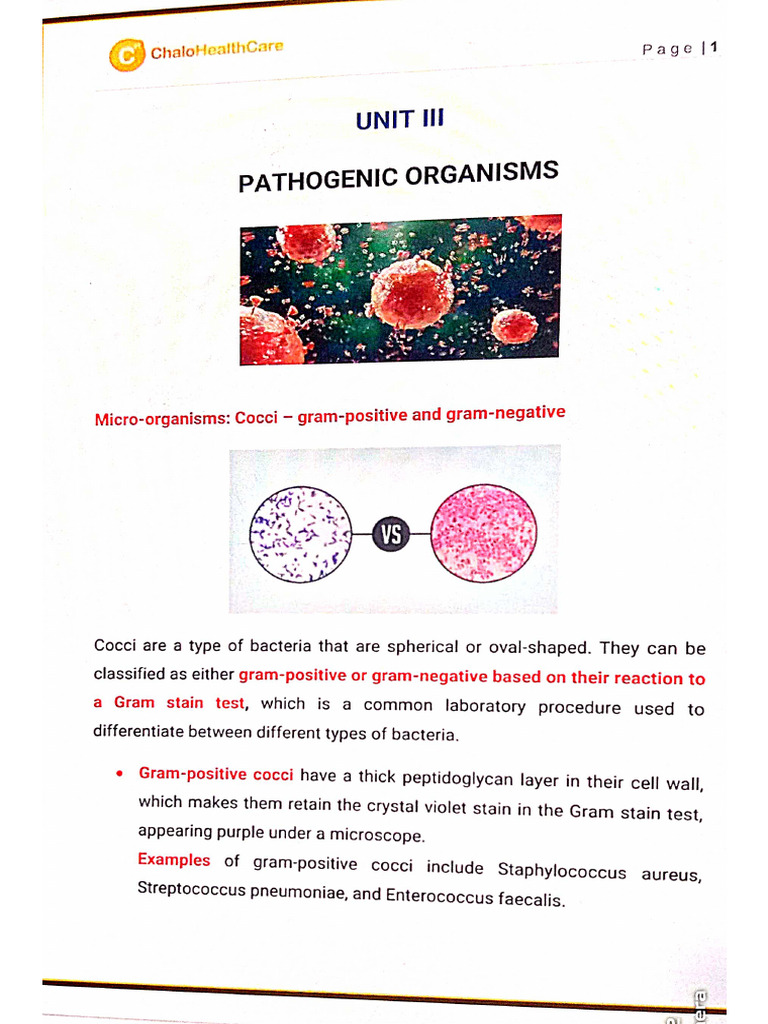 Pathogenic Organism Microbiology 240619 005454 | PDF