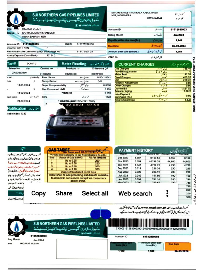 Jan, 2024 sngpl bill | PDF