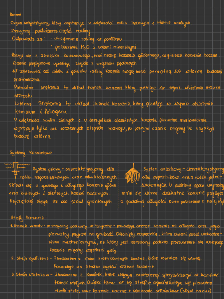 Big Biology Revision Workout | PDF