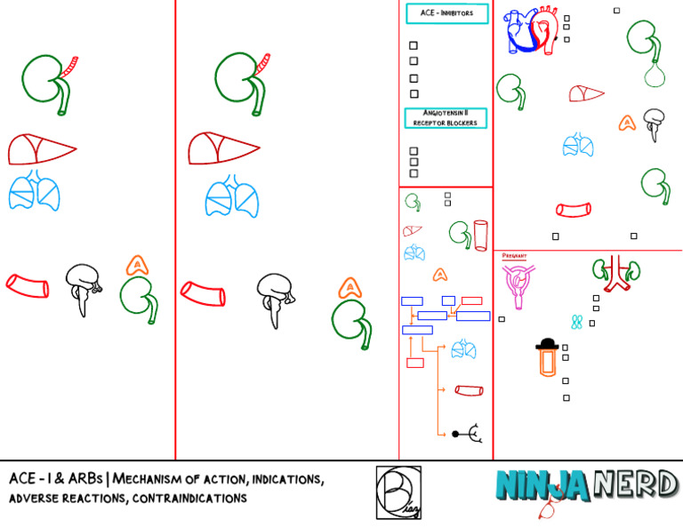 ACE-I & ARBs Mechanism of Action, Indications, Adverse Reactions ...