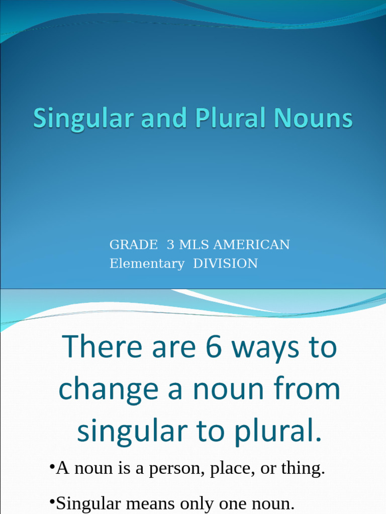 Singular and Plural Nouns Grammar | PDF