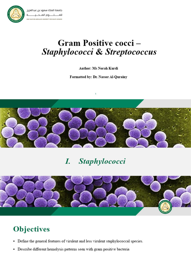 Lecture 5 Gram Positive Cocci Staphylococci and Streptococci1 | PDF | Streptococcus | Staphylococcus