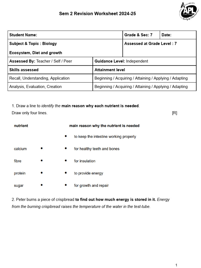 Grade 7 Biology Ecosystem Revision Worksheet | PDF | Blood | Biology