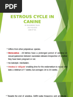 Canine and Wolf Ethogram Overview | PDF | Canines | Dogs