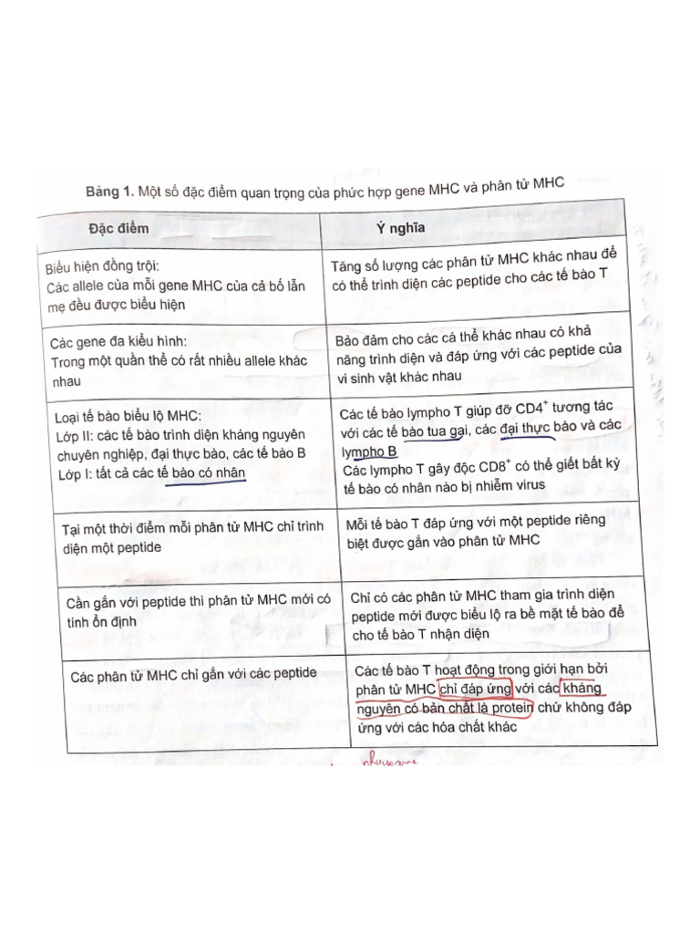 Bảng-1.-Một-số-đặc-điểm-quan-trọng-của-phức-hợp-gene-MHC-và-phân-tử-MHC | PDF