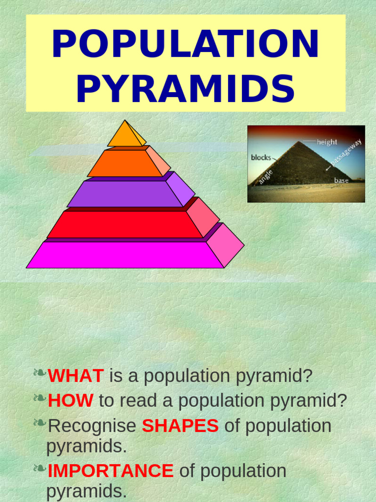 Population Pyramids Pdf Birth Rate Environmental Social Science