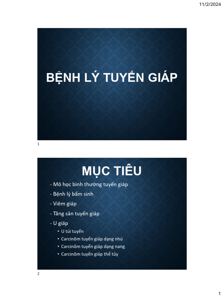 GPB MODULE NỘI TIẾT 2024 | PDF