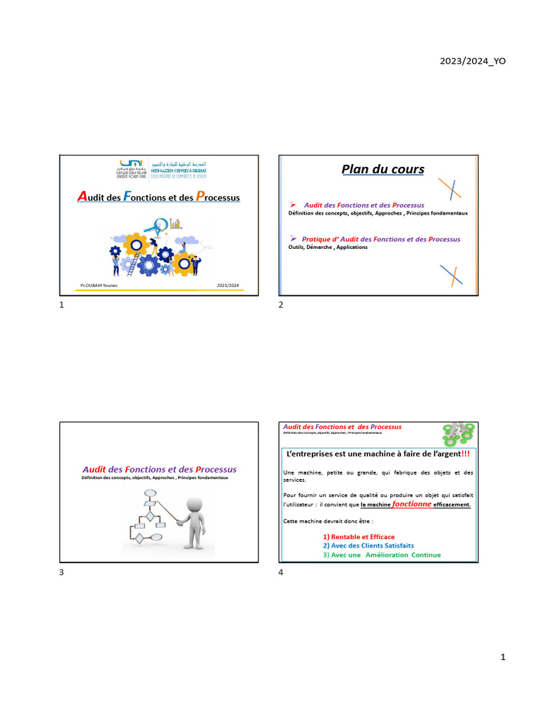 Cours_Audit des Fonctions et Processus | PDF | Audit | Business
