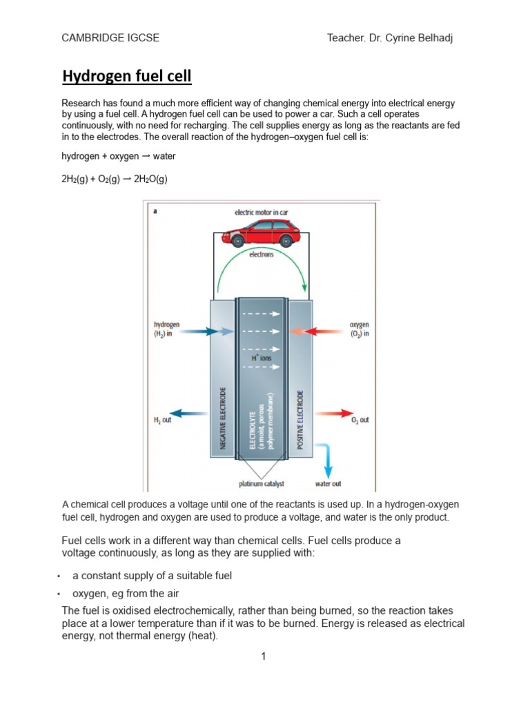 Hydrogen Fuel Cell | PDF | Fuel Cell | Electrode