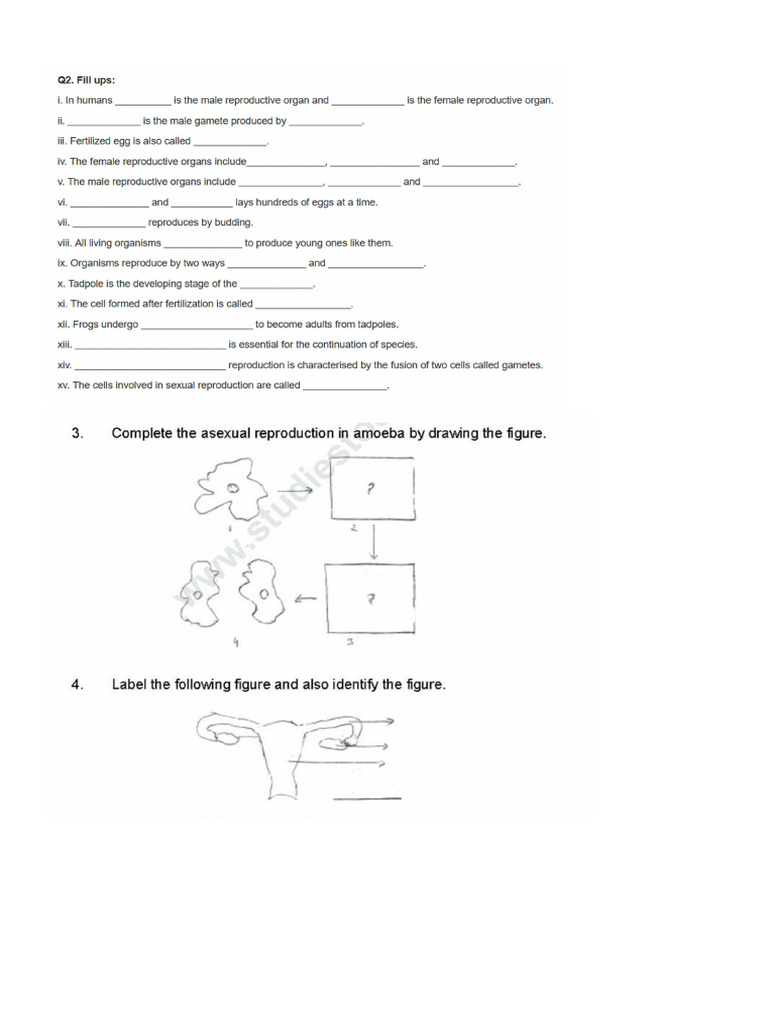 Reproduction Test | PDF