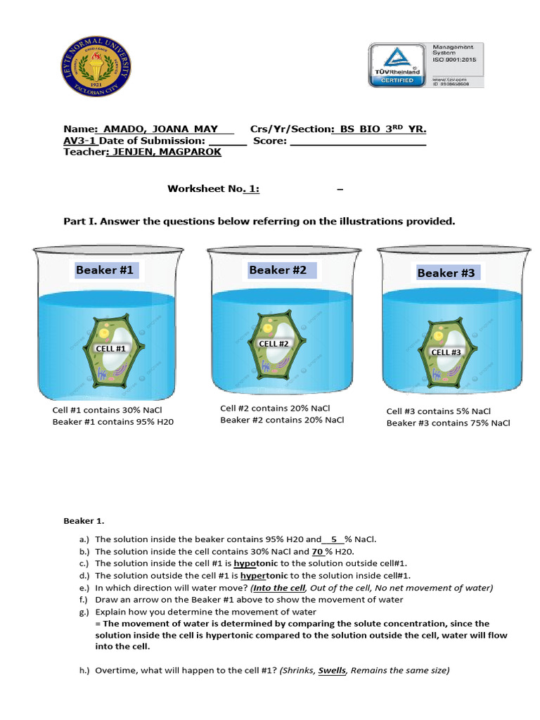 Cell and Molecular Laboratory | PDF | Osmosis | Cell Biology