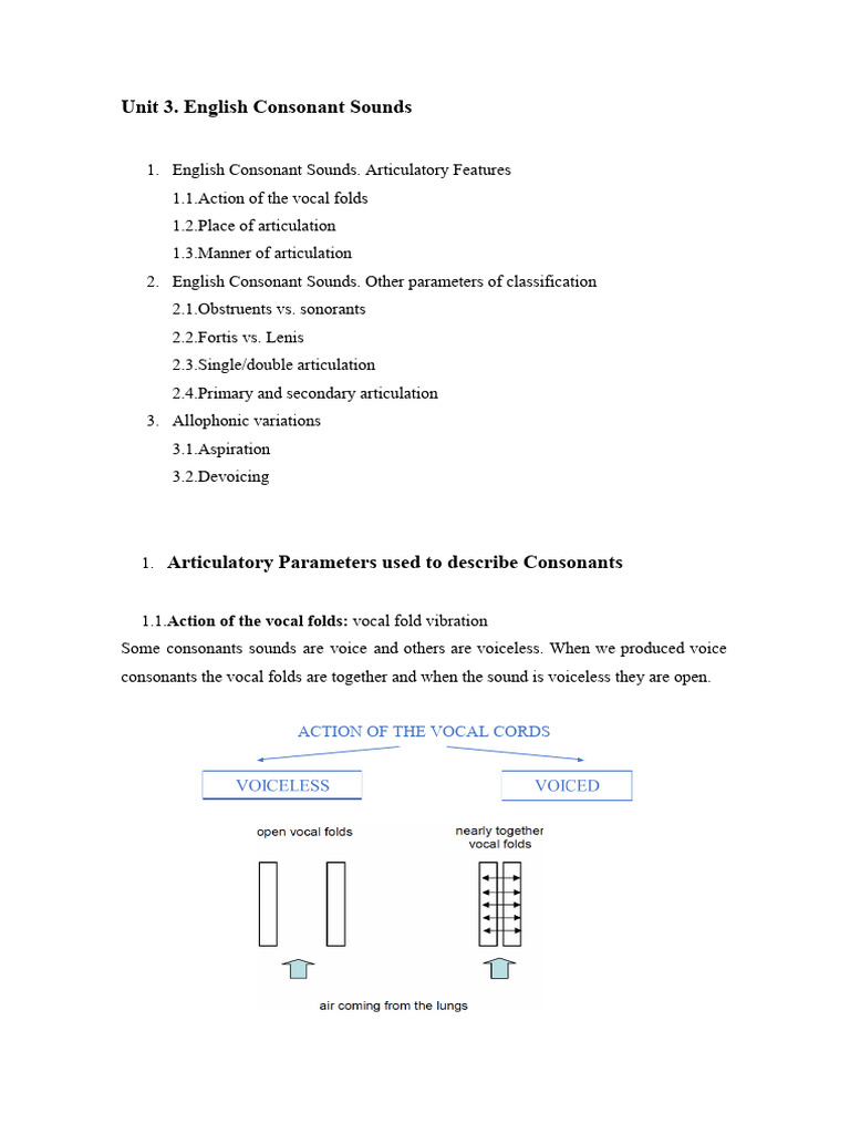 Unit 3. English Consonant Sounds.docx | PDF | Consonant | Human Voice