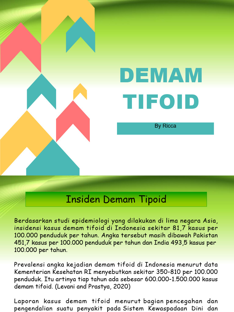 Demam Tifoid | PDF