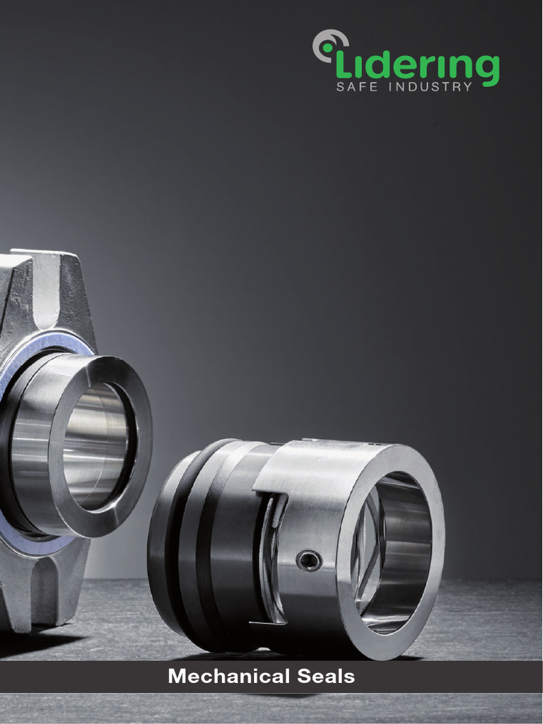 Lidering Mechanical seals | PDF | Pump | Water